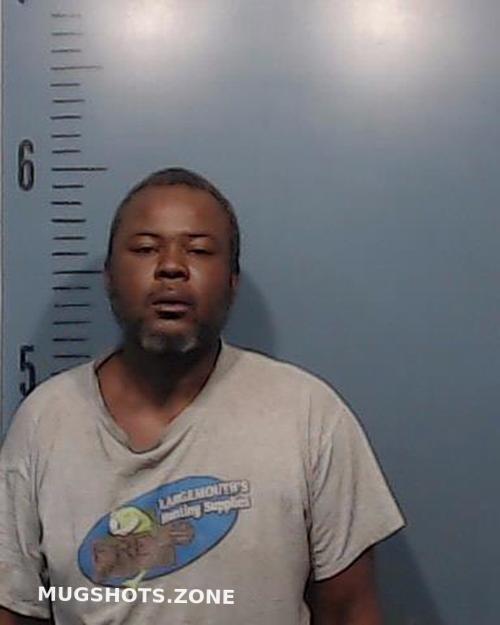 DOWDELL WILLIAM TERRELL 03/06/2025 - Taylor County Mugshots Zone