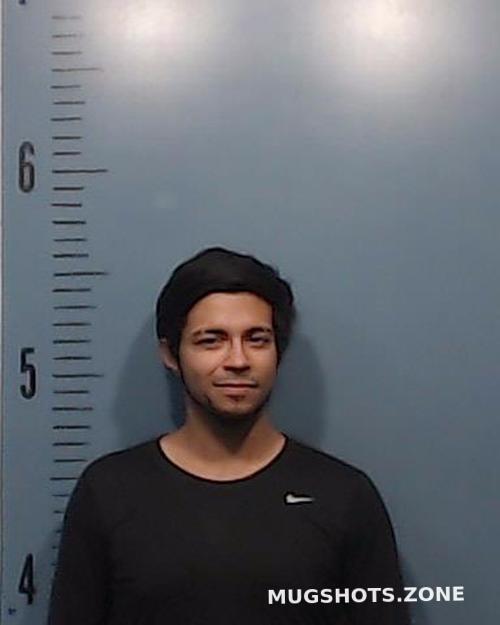 GOMEZ CHRISTOPHER LOGAN 03/06/2025 - Taylor County Mugshots Zone