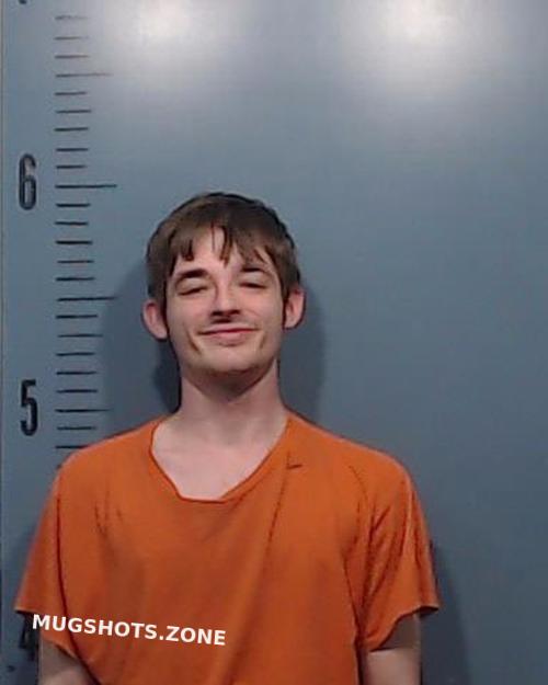 NEWLIN NATHAN JAMES 03/19/2025 - Taylor County Mugshots Zone