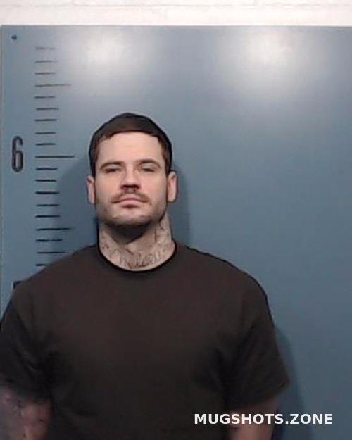 KING BRANDON DEWAYNE 03/19/2025 - Taylor County Mugshots Zone
