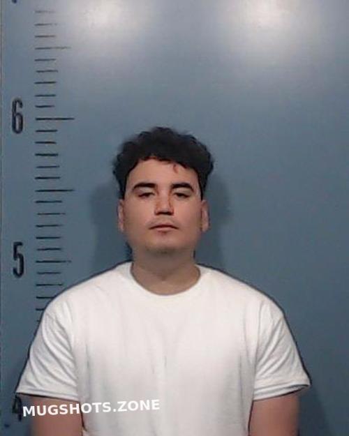 SALINAS KALEB ANTHONY 03/23/2025 - Taylor County Mugshots Zone