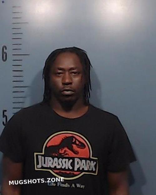 WOODS TREMAYNE DEYON 03/26/2025 - Taylor County Mugshots Zone