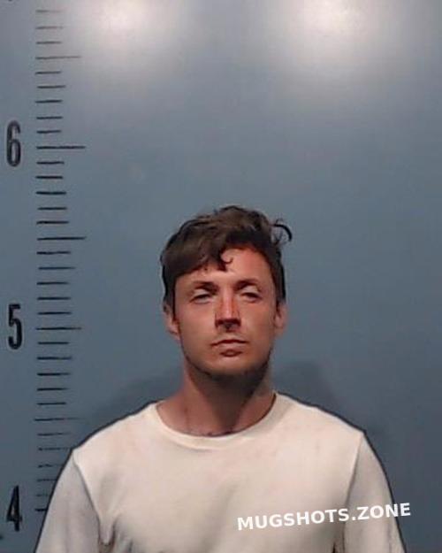 ROBINETTE AUSTIN LEE 03/27/2025 - Taylor County Mugshots Zone
