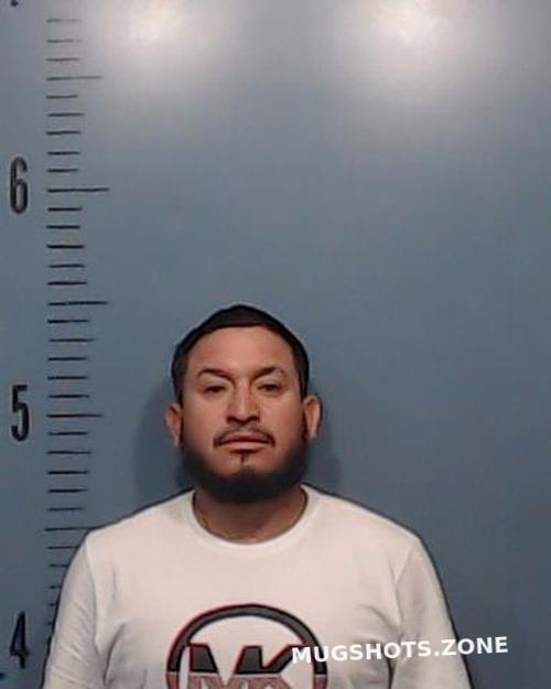 LEON-SOLIS JOSE GUADALUPE 03/30/2025 - Taylor County Mugshots Zone