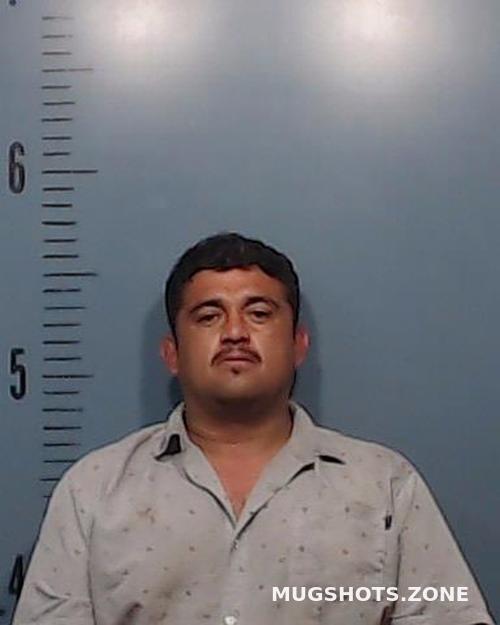 AUDELO MARCO ANTONIO SOLIS 03/31/2025 - Taylor County Mugshots Zone