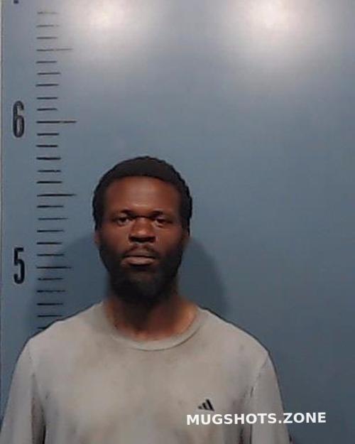 ZAHIR MUHAMMAD SADIQI 03/31/2025 - Taylor County Mugshots Zone