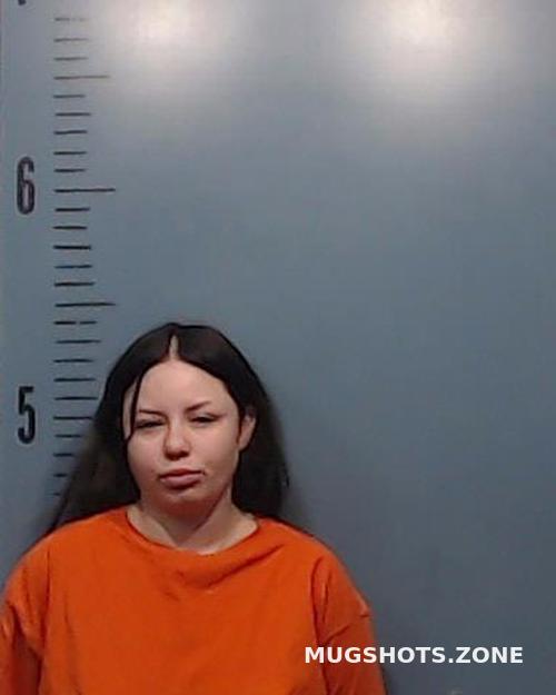 LICON IRIS SANDATE 04/02/2025 - Taylor County Mugshots Zone
