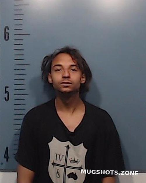 PARRAMORE QUENTIN DOUGLAS JR. 04/03/2025 - Taylor County Mugshots Zone