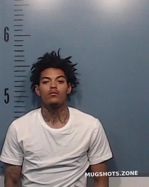 MCGEE DRAYSON MALIQUE 04/04/2025 - Taylor County Mugshots Zone