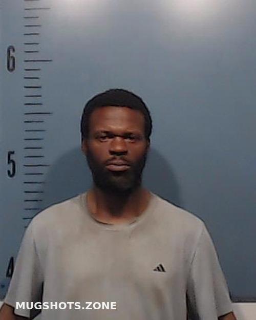 ZAHIR MUHAMMAD SADIQI 04/04/2025 - Taylor County Mugshots Zone