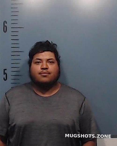 DELACRUZ ISRAEL LEE 04/04/2025 - Taylor County Mugshots Zone