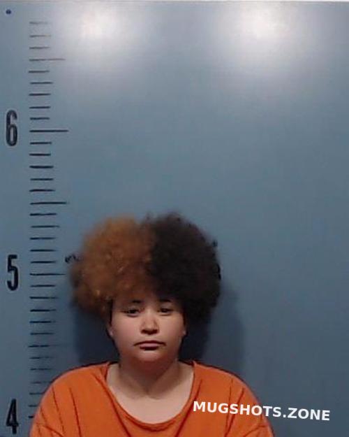 PENNS FALICITY DASHAY 04/16/2025 - Taylor County Mugshots Zone
