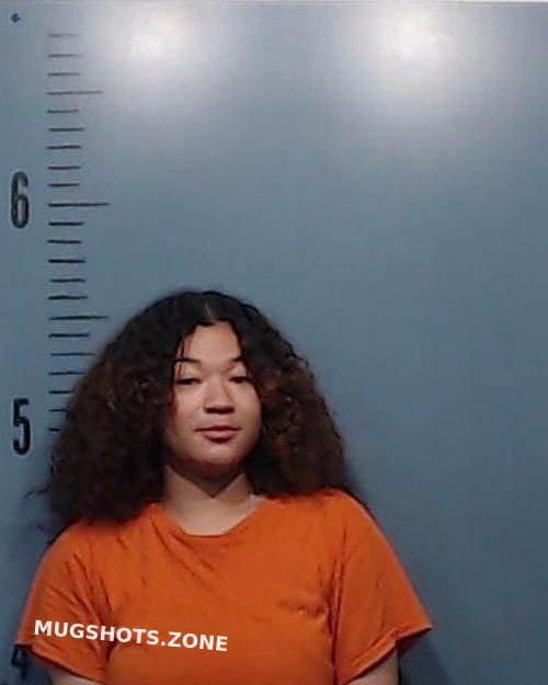 JONES MARIANN BRANIYA 04/17/2025 - Taylor County Mugshots Zone