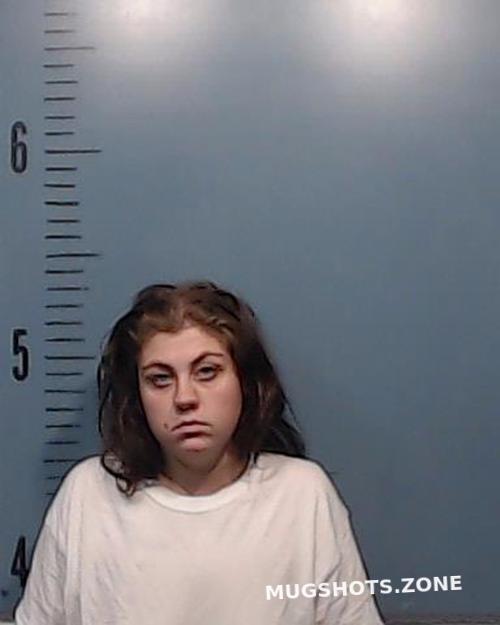 WILLIAMS KAYLIE NICOLE 05/03/2025 - Taylor County Mugshots Zone