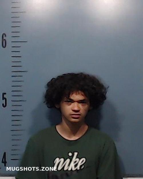 GALE MARTAVIUS JEROME 05/17/2025 - Taylor County Mugshots Zone