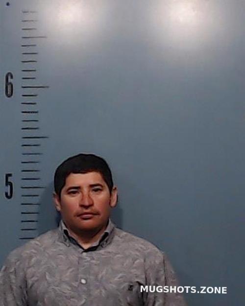 LOPEZ-ESTRADA EDIN MANUEL 06/07/2025 - Taylor County Mugshots Zone