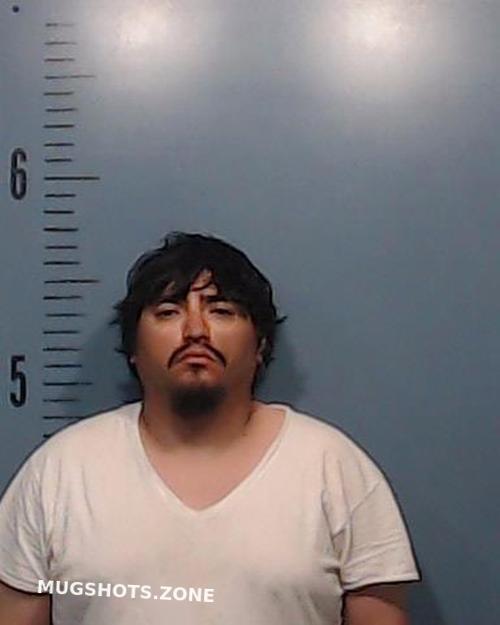 GAYTAN JONATHAN 06/08/2025 - Taylor County Mugshots Zone