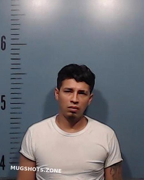 FLORES ROBERT JR. 06/24/2025 - Taylor County Mugshots Zone