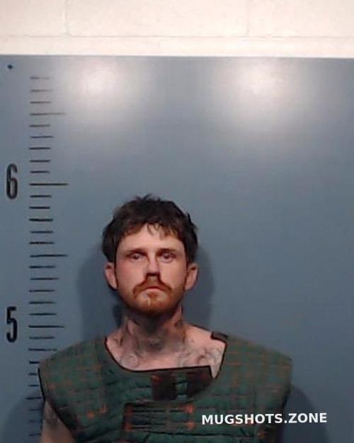 PICKWELL AARON JOHN 06/25/2025 - Taylor County Mugshots Zone