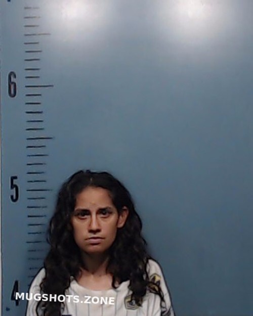 MENDEZ KRISTA LOUISE 07/17/2025 - Taylor County Mugshots Zone