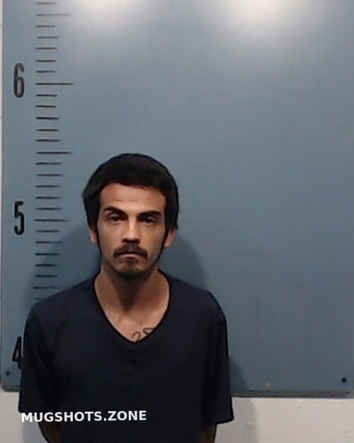 RODRIGUEZ SHAWN MICHAEL 07/26/2025 - Taylor County Mugshots Zone