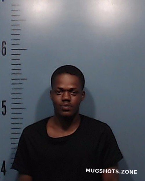 PUGH JOVAN NICHOLAS 07/30/2025 - Taylor County Mugshots Zone
