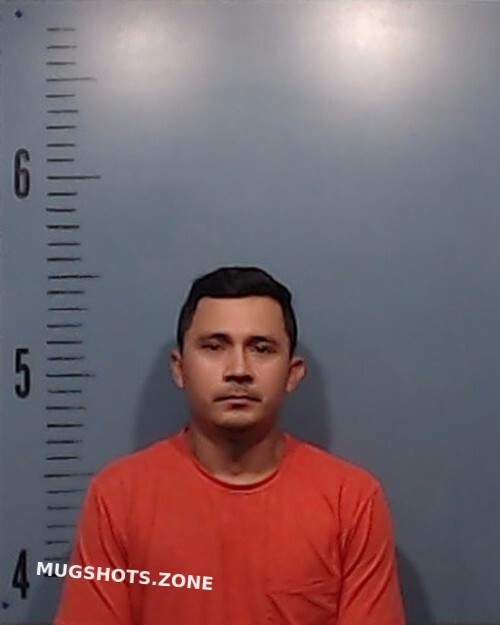 LEMUS FRANK ALEJANDRO 08/12/2025 - Taylor County Mugshots Zone