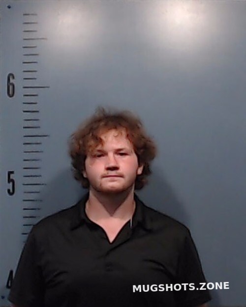 OLESEN NICHOLAS JAMES 08/12/2025 - Taylor County Mugshots Zone