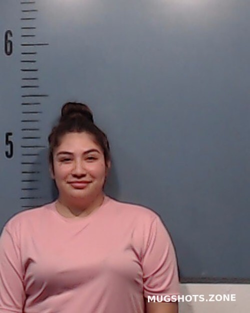 ROCHA REYNA DIANE 08/21/2025 - Taylor County Mugshots Zone