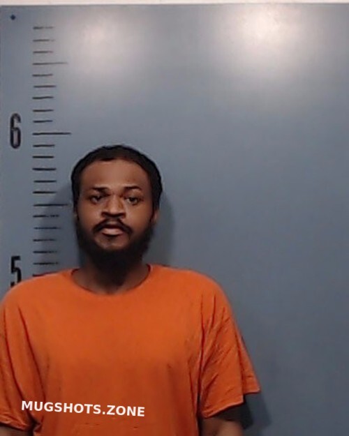 GREER BRANDON ALLEN 08/28/2025 - Taylor County Mugshots Zone