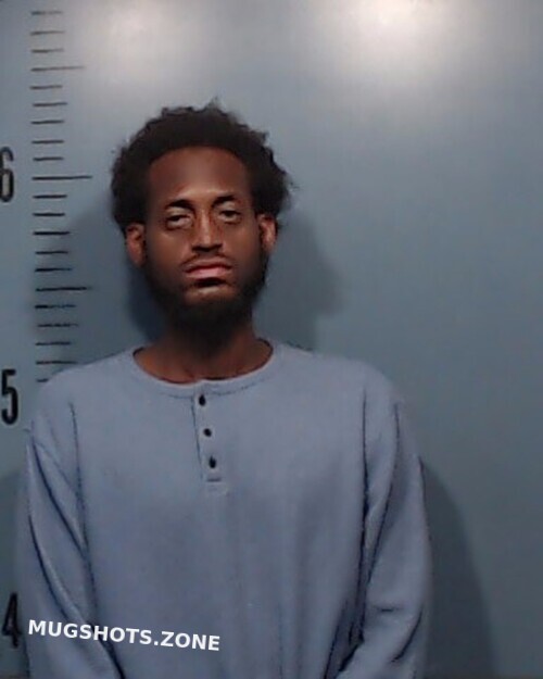 HAYES TREVON 09/21/2025 - Taylor County Mugshots Zone