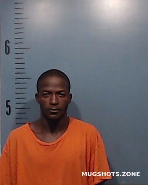 JONES ROSHAUN DWAYNE JR. 09/25/2025 - Taylor County Mugshots Zone