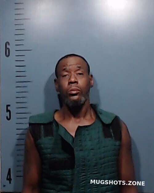 HICKS DAISHAI TAIJUAN 09/26/2025 - Taylor County Mugshots Zone