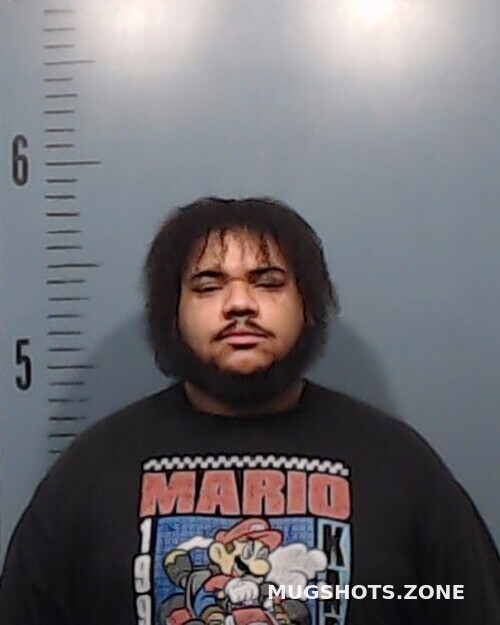 TAYLOR CHRISTOPHER ROMELLO 10/08/2025 - Taylor County Mugshots Zone