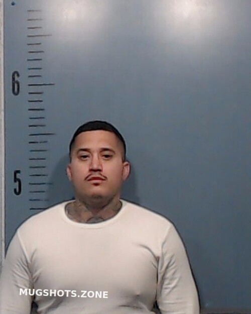GARCIA RONNIE MANUEL JR. 10/11/2025 - Taylor County Mugshots Zone