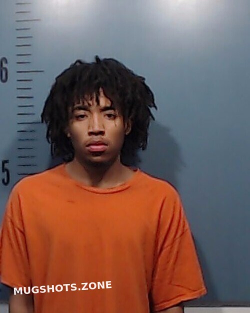 TAYLOR JAMYSON DAVID 11/01/2025 - Taylor County Mugshots Zone