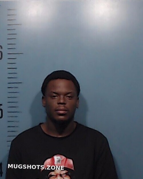 MAYES LEWAYNE TERRELL 11/08/2025 - Taylor County Mugshots Zone