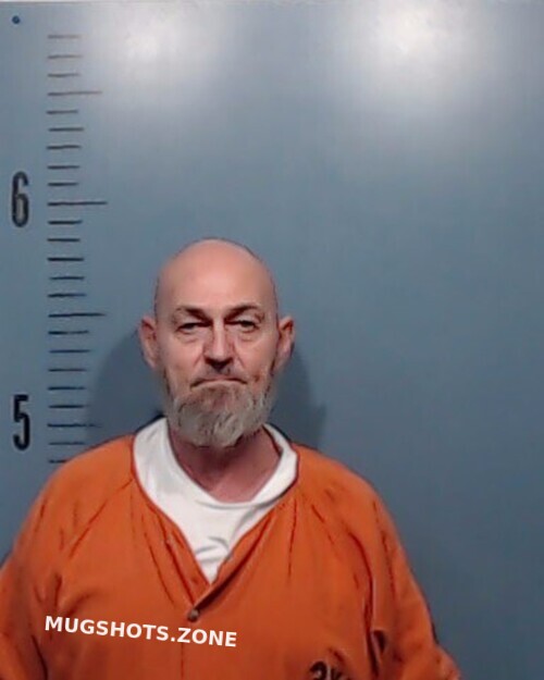 GOOLSBY TERRY LYNN 11/11/2025 - Taylor County Mugshots Zone