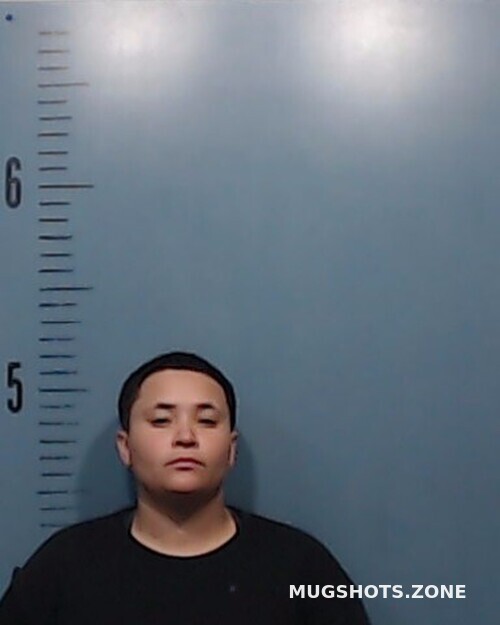 PENNS FALICITY DASHAY 11/17/2025 - Taylor County Mugshots Zone