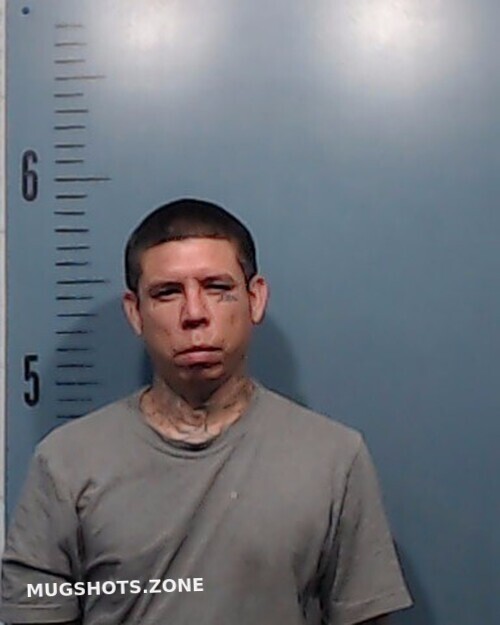 WOO JOE LEWIS JR. 11/26/2025 - Taylor County Mugshots Zone