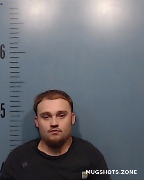ALANIZ XAVIER JAIME 12/14/2025 - Taylor County Mugshots Zone