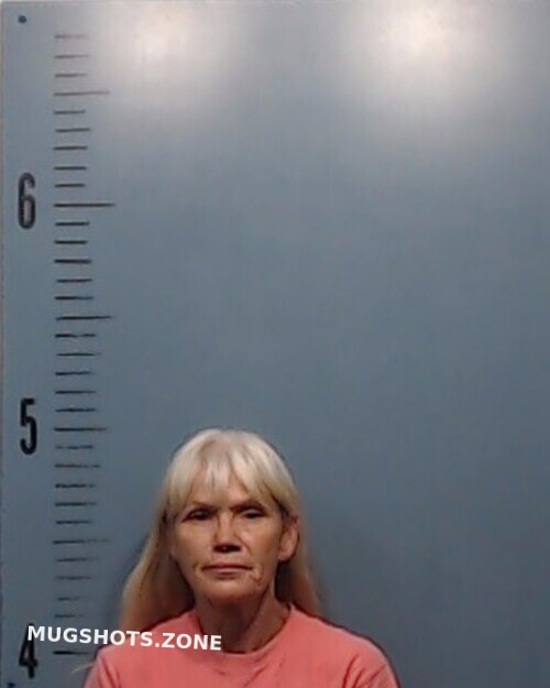 BEASLEY SHERRY DIANE 12/20/2025 - Taylor County Mugshots Zone