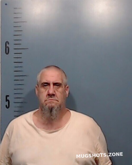 ELLIS JASON PAUL 12/30/2025 - Taylor County Mugshots Zone