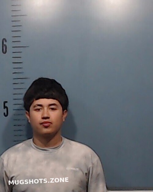 BECERRA-HUGO ERIC 01/11/2026 - Taylor County Mugshots Zone