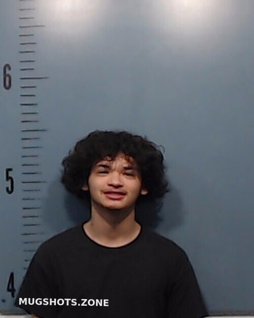 GALE MARTAVIUS JEROME 01/14/2026 - Taylor County Mugshots Zone