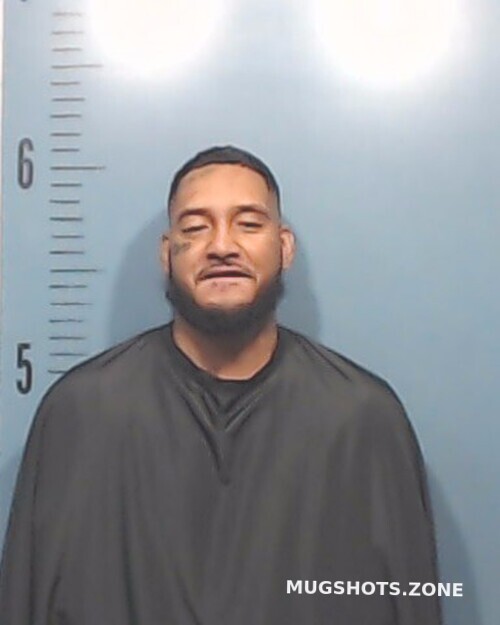 WORD RYAN DEON 02/02/2026 - Taylor County Mugshots Zone
