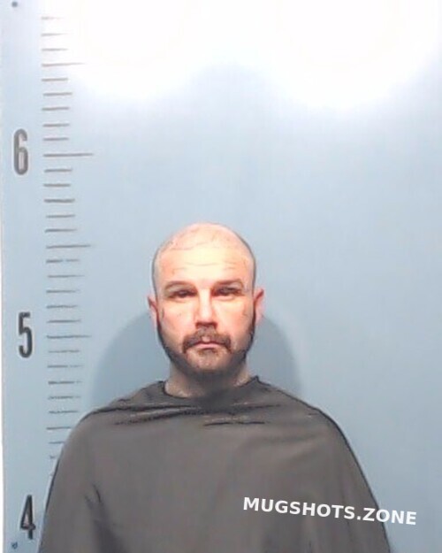 HAMMER RODNEY RYAN 02/04/2026 - Taylor County Mugshots Zone
