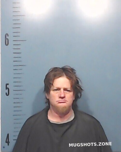 DITTMAR MICHAEL DAVID JR. 02/27/2026 - Taylor County Mugshots Zone