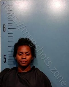 SCROGGINS ZYKERIAH SHEREE 05/10/2026 - Taylor County Mugshots Zone