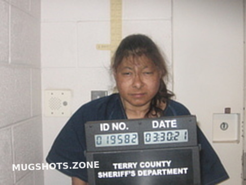 MARIA SOLIS-DELGADO 03/30/2021 - Terry County Mugshots Zone